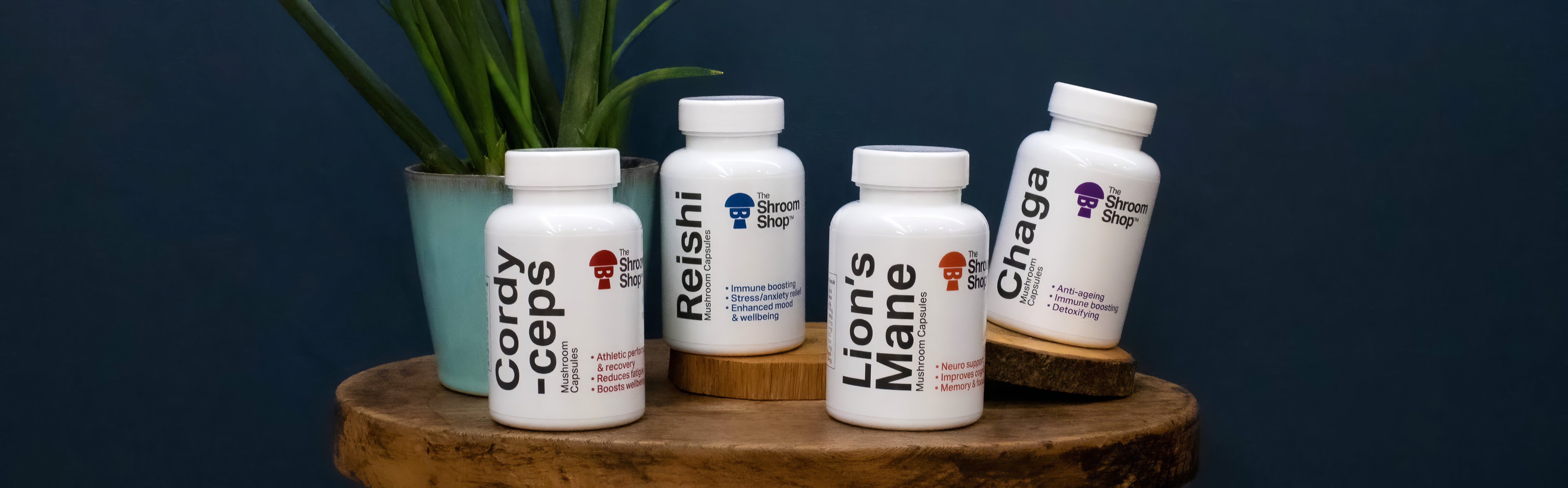 The Shroom Shop – TheShroomShop