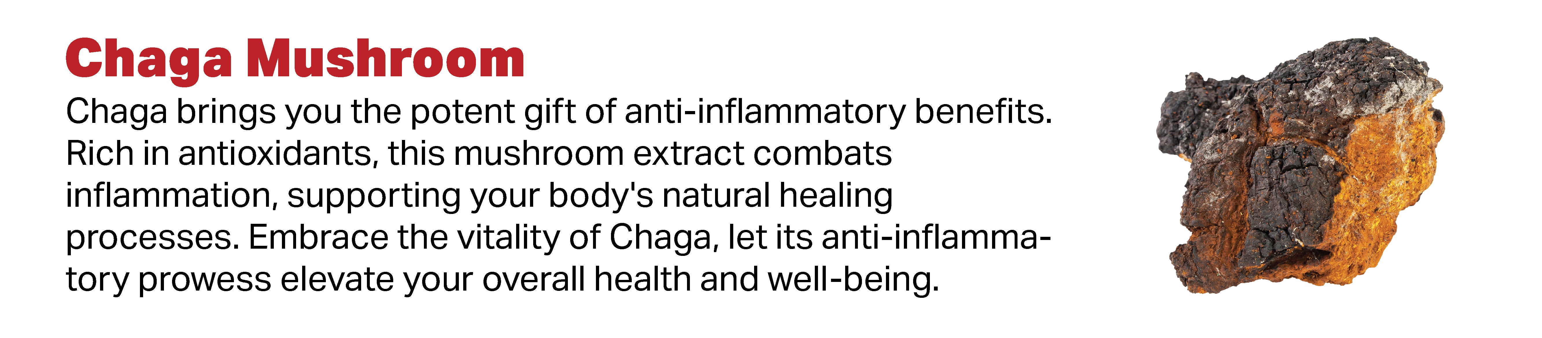 Super Shroom Landing Page – TheShroomShop